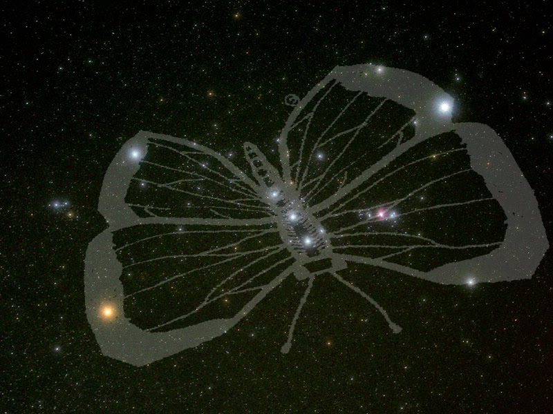 Field Stations and Outposts of Anaphoria Island: The Butterfly ...