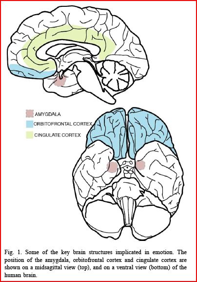An Epistemology: October 2010