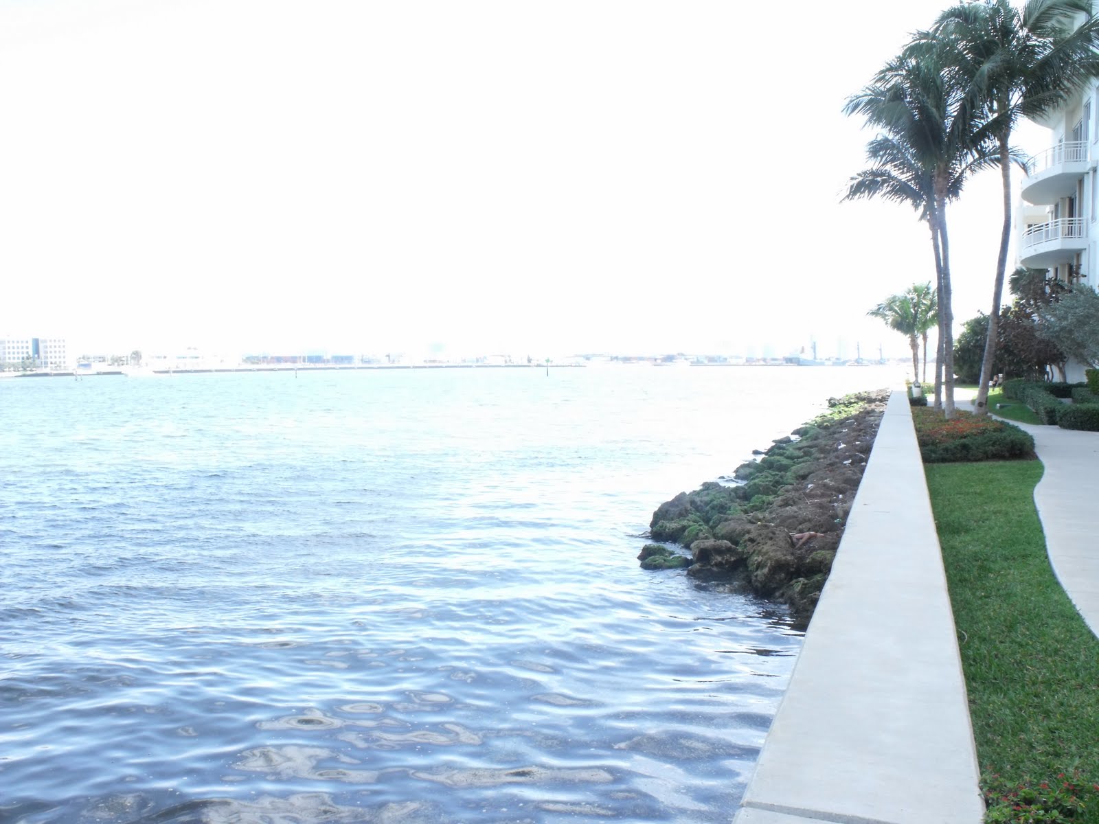 welcome to my fraction of the internet: A lovely walk around Brickell ...