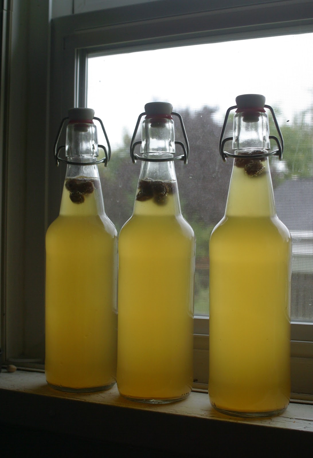 Potlicker: Sima (Finnish Lemon Mead)