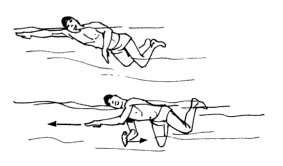 Natación : Estilos de natación y su importancia
