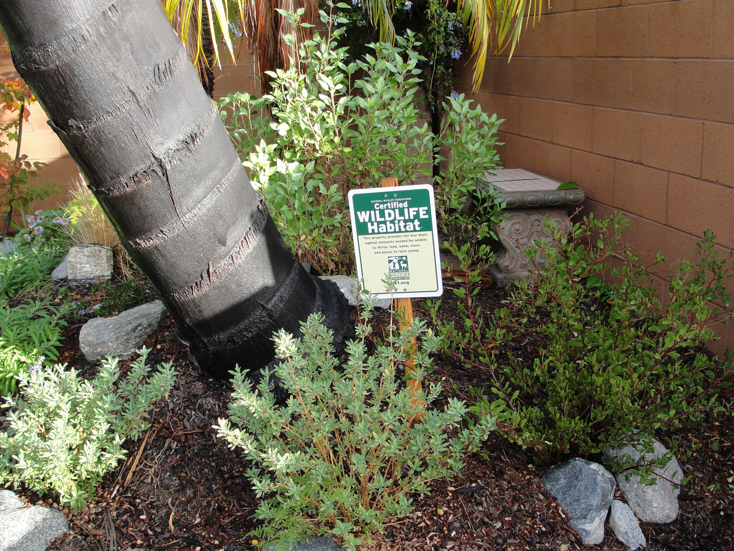 California Native Garden Design: California Promotes Native Plant Use