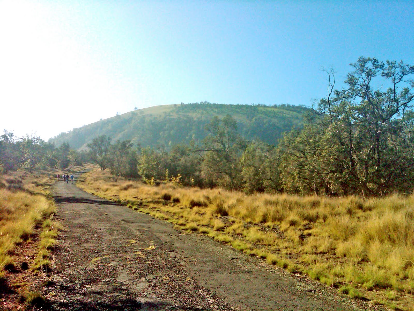 THE KONA LIFE: SUNDAY HIKE