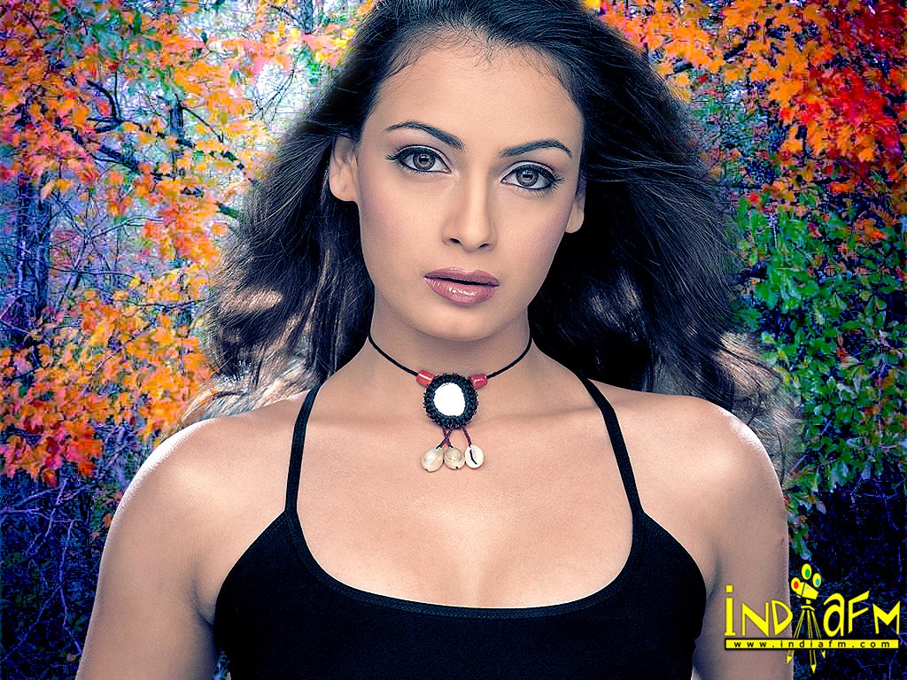 Diya Mirza Sexy Hot Wallpaper ~ Hd Wallpapers High Definition 100 Quality Hd Desktop Wallpapers