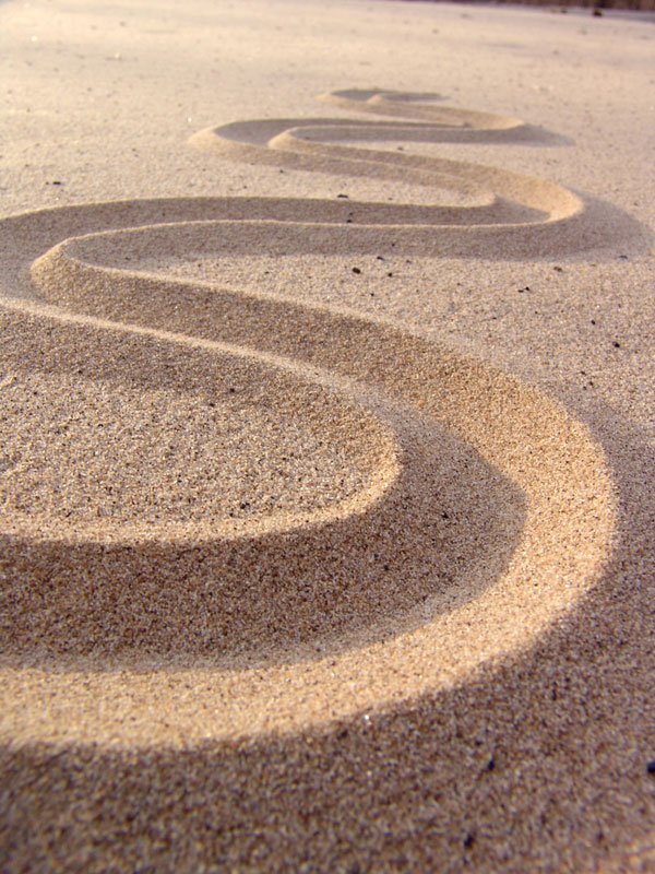 UVAQ Fotografía: Composición por líneas (elemento compositivo fotográfico)