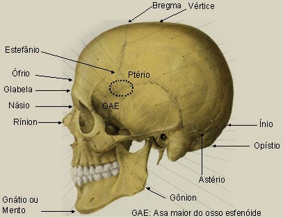 ABC DA RADIOLOGIA - PORTAL RADIOLOGIA: 196) TÉCNICAS RADIOLÓGICAS DO ...