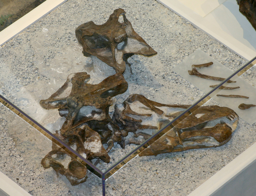 LAND OF THE DEAD: DINOSAURS AND PALEONTOLOGISTS AT THE CARNEGIE MUSEUM