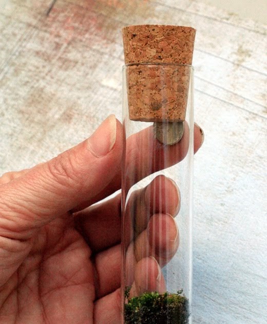 The Fern and Mossery: How to Make a Magnetic Test Tube Terrarium at ...