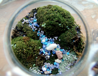 The Fern and Mossery: River Terrarium from Sacrificial Rabbits