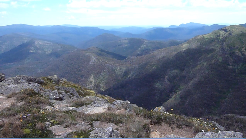 Back To Nature:: Howitt Trk - Alpine NP - VIC