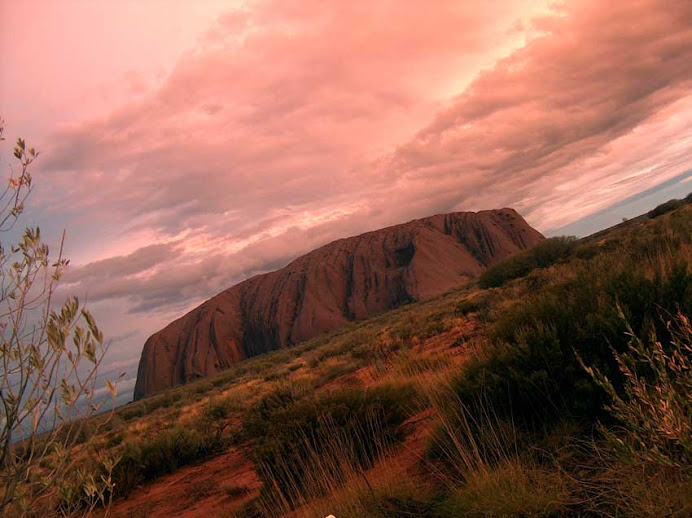 Les Australigators en vadrouille...