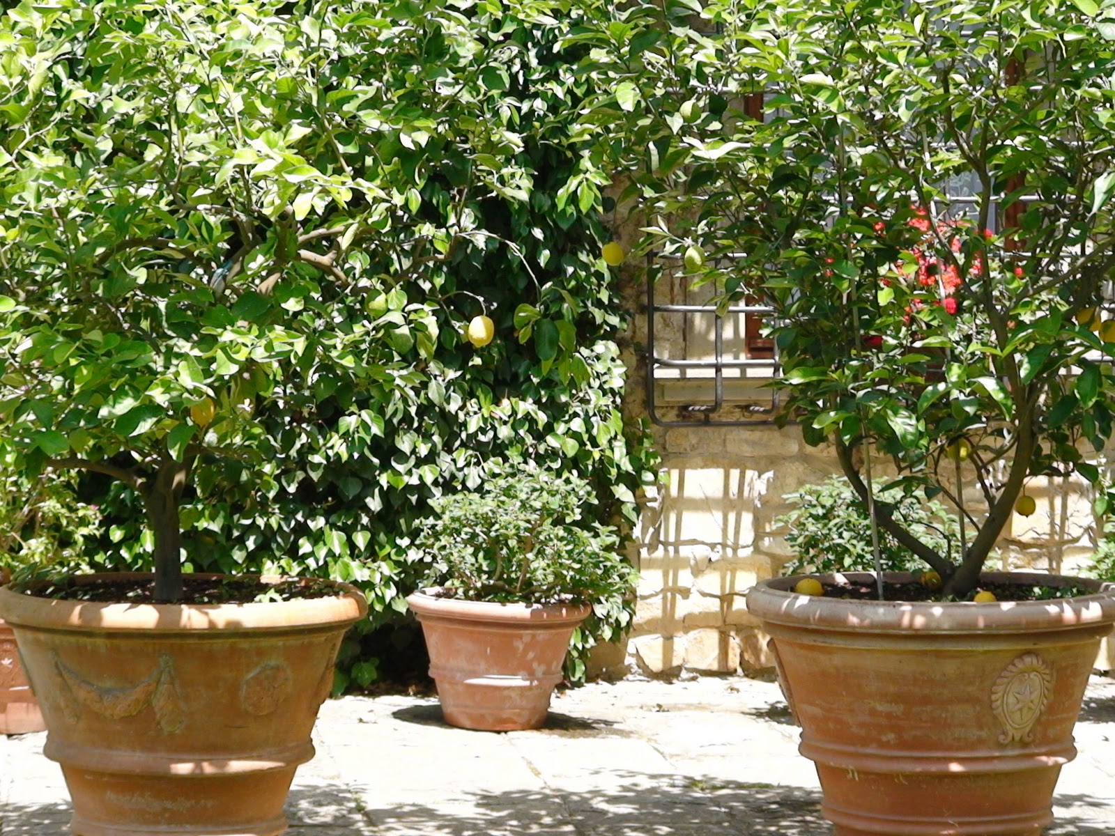 { the vintage wren }: { CASTELLO di VERRAZZANO }