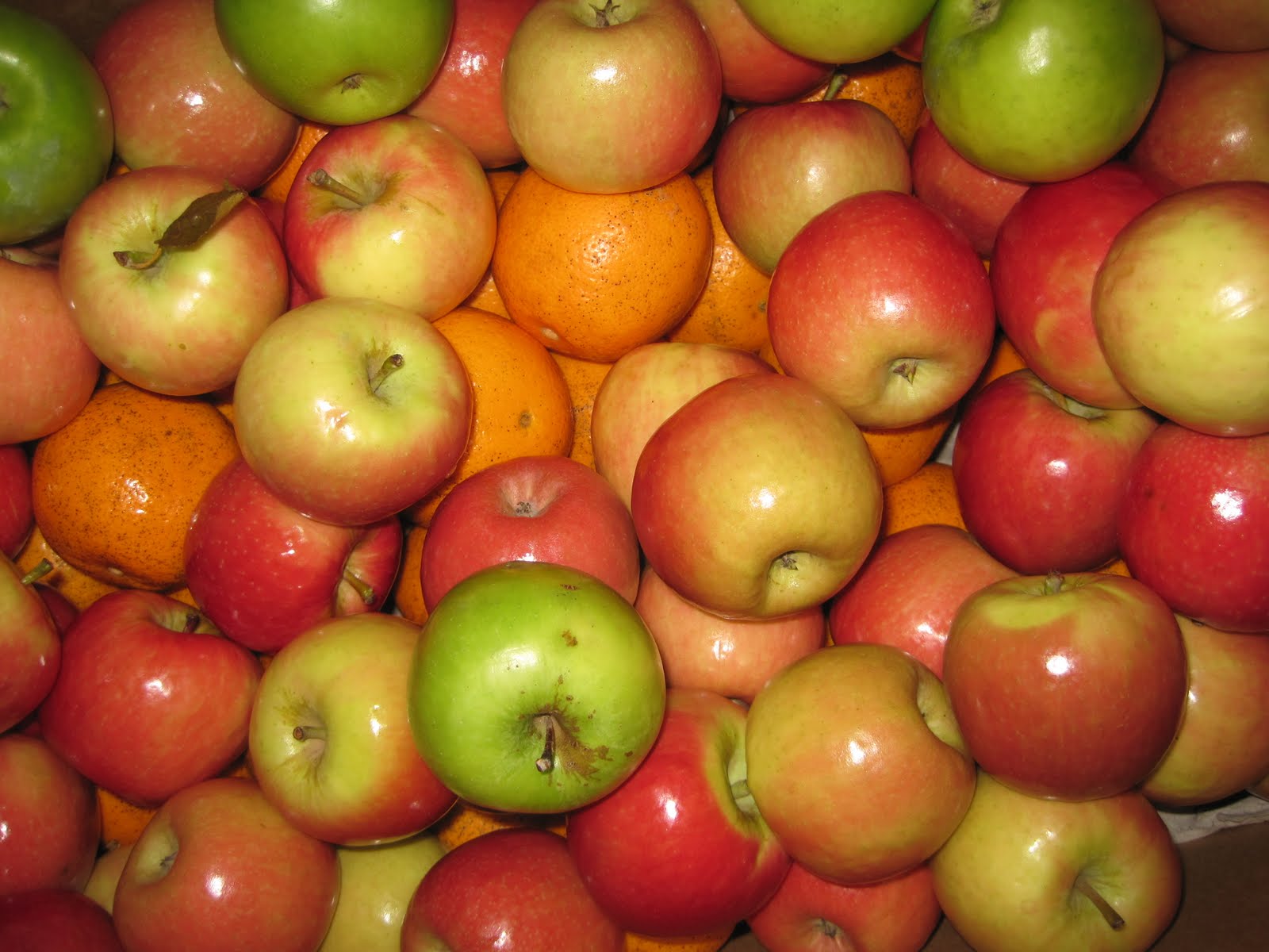 Some Home Truths: When Home is Apples... lots of apples