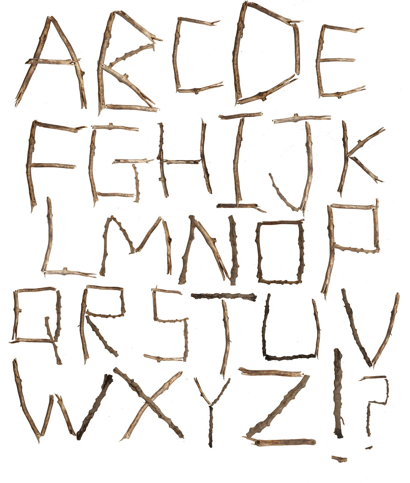 Lottie Graphics: Twig-ography