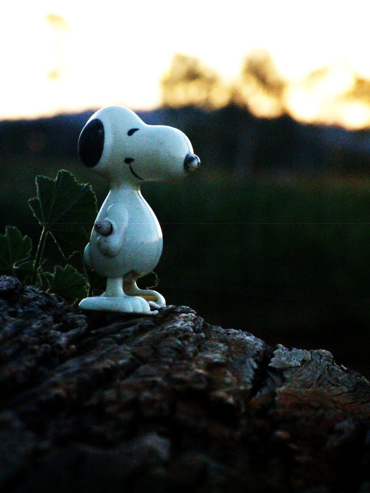Pip's Perspective: Photography Assessment - Childhood Toy - Snoopy