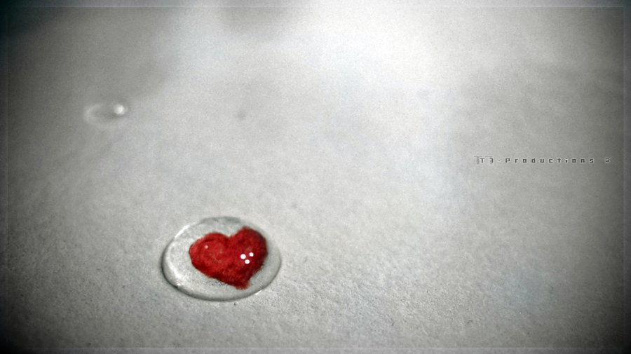 Pip's Perspective: i heart photography!