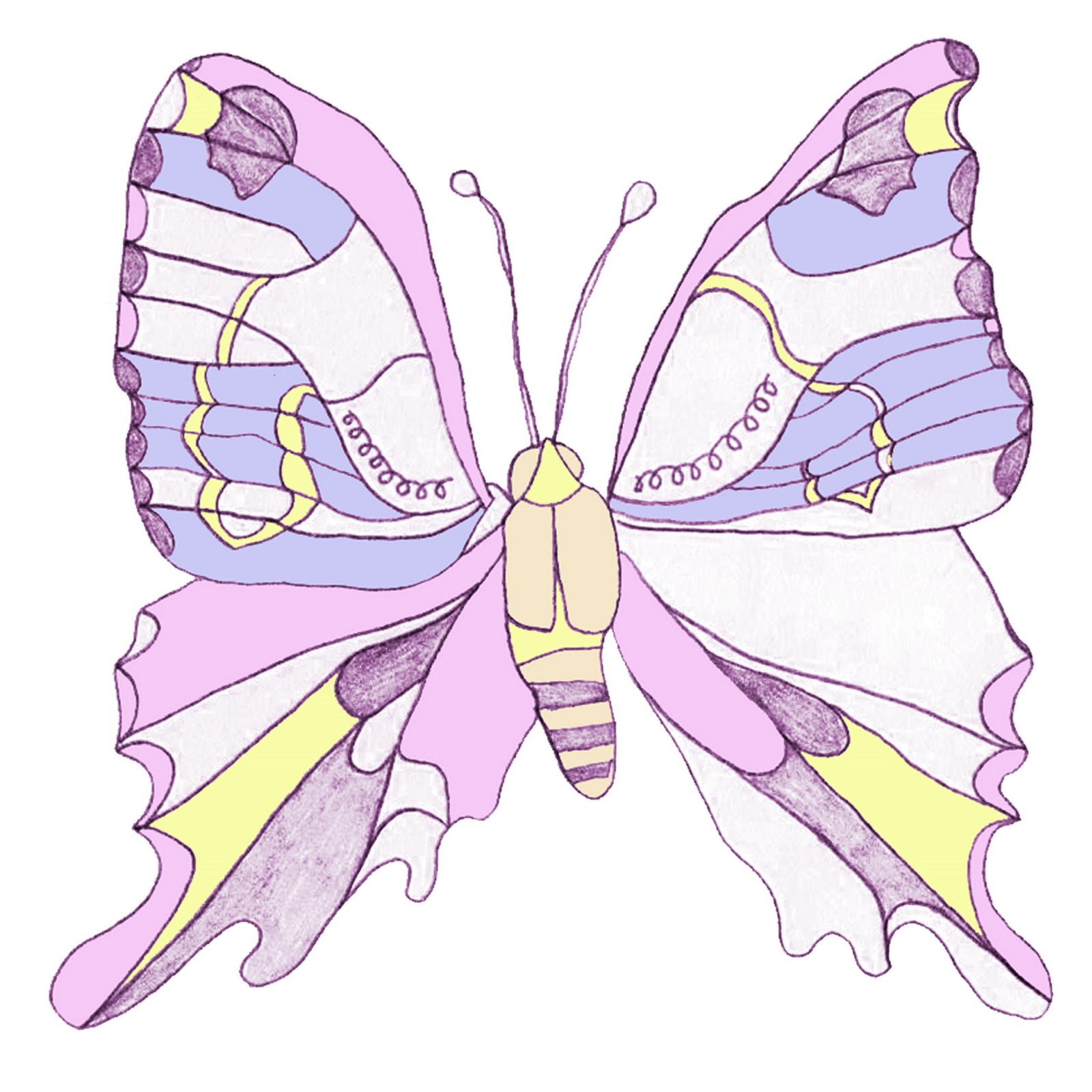 Laurie Woodruff Illustration: butterfly