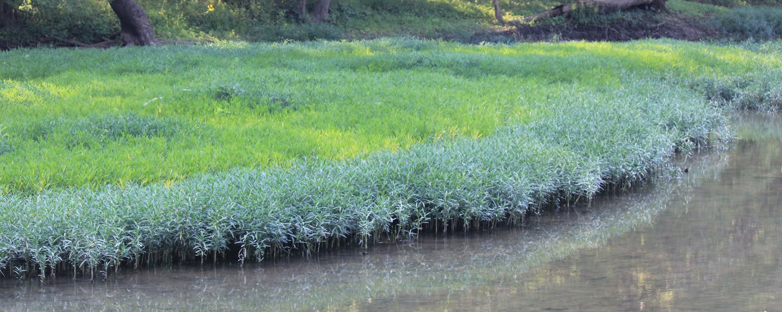 Wise Outdoor Adventures: Hiking Battelle Darby Creek Metro Park ...