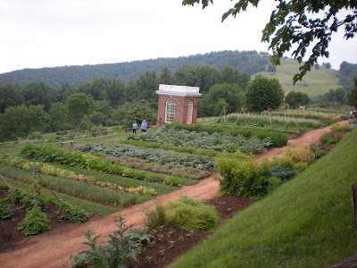 Beeutiful By Design: A Tour of Monticello Part I