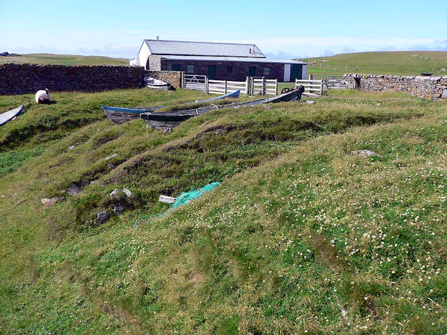 kozetland1: Fair Isle Pictures