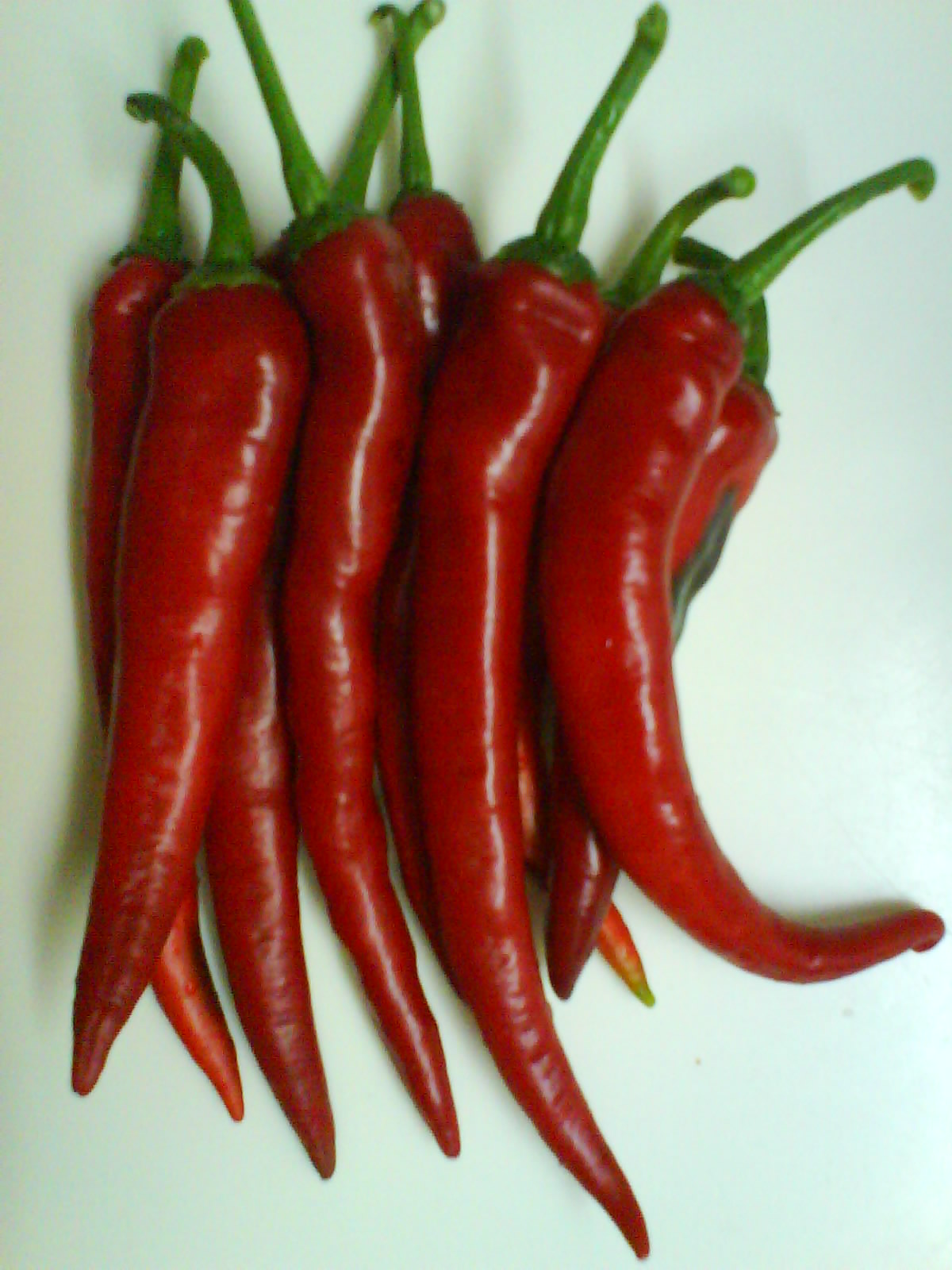 River Orch Agro: CILI MERAH