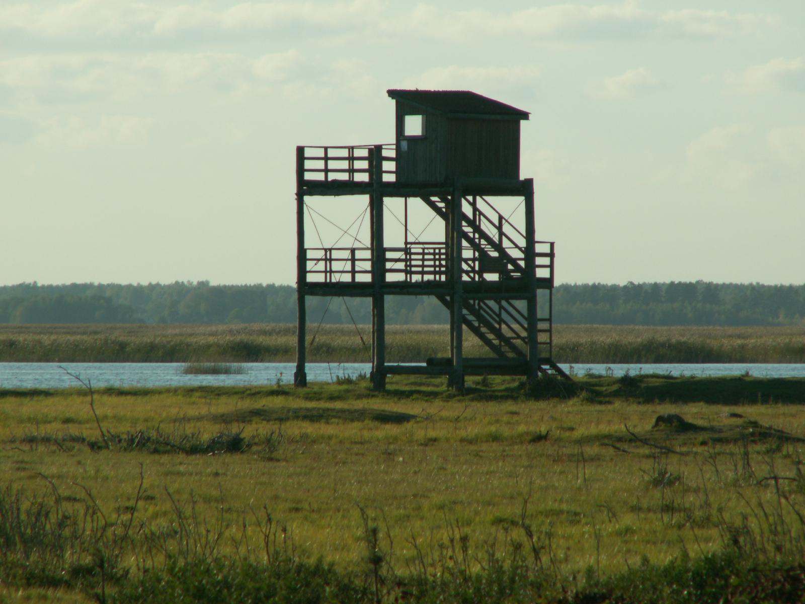 Ceļošana LV: Engures ezera dabas parks