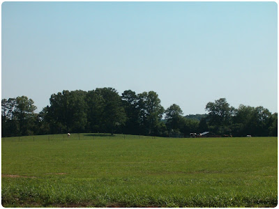 Horse Farms & Alabama Countryside - Southern Hospitality