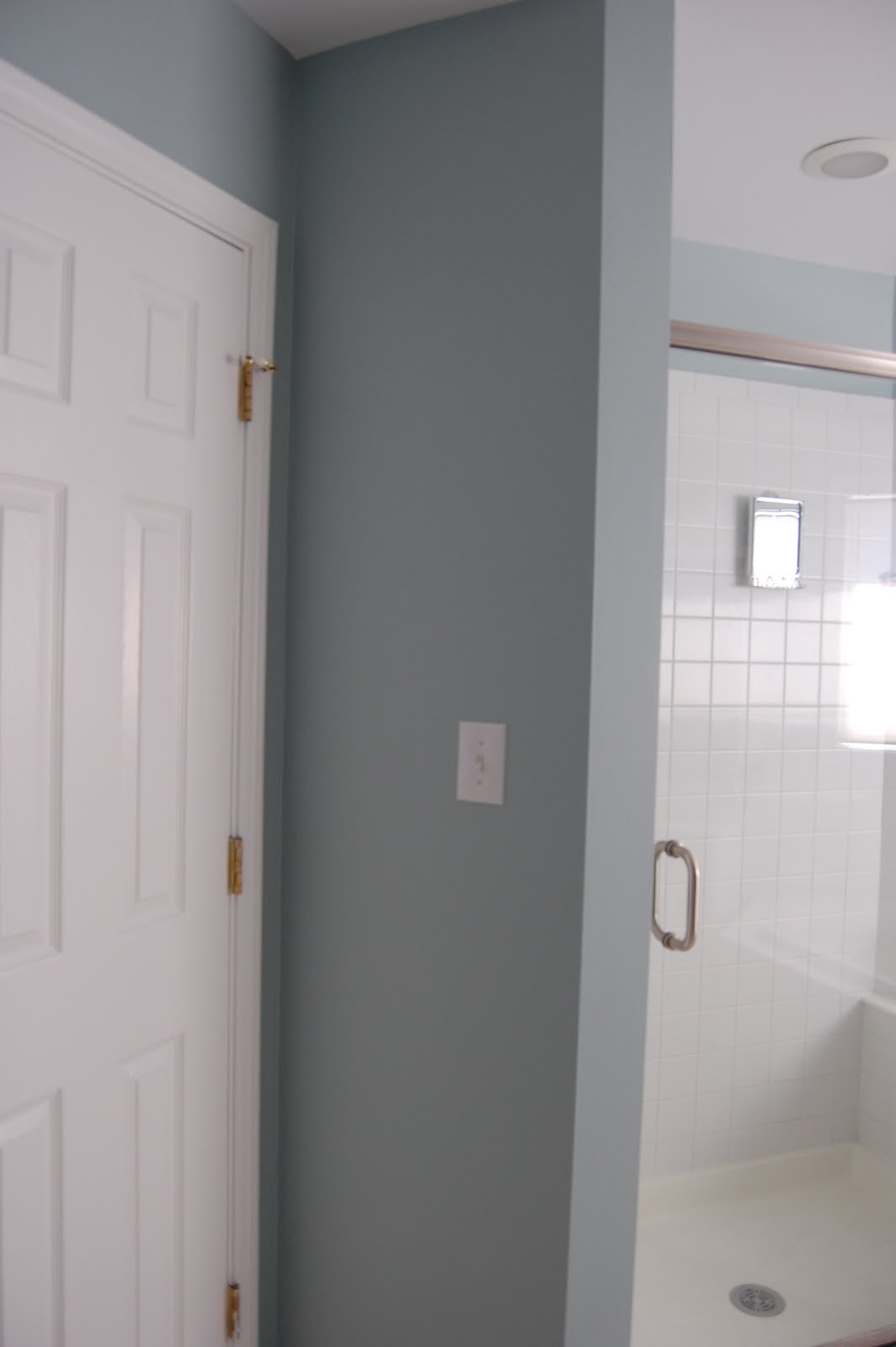 Kicking it in the Suburbs: Master Bath Reno: Part 7-Paint Selection