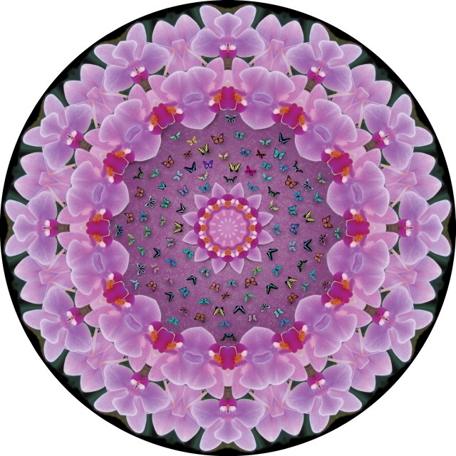 a year of mandalas: One Hundred Butterflies Mandala