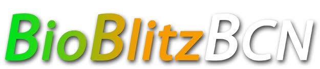 BioBlitzBcn2010: Grup Biològic - Dictiòpters