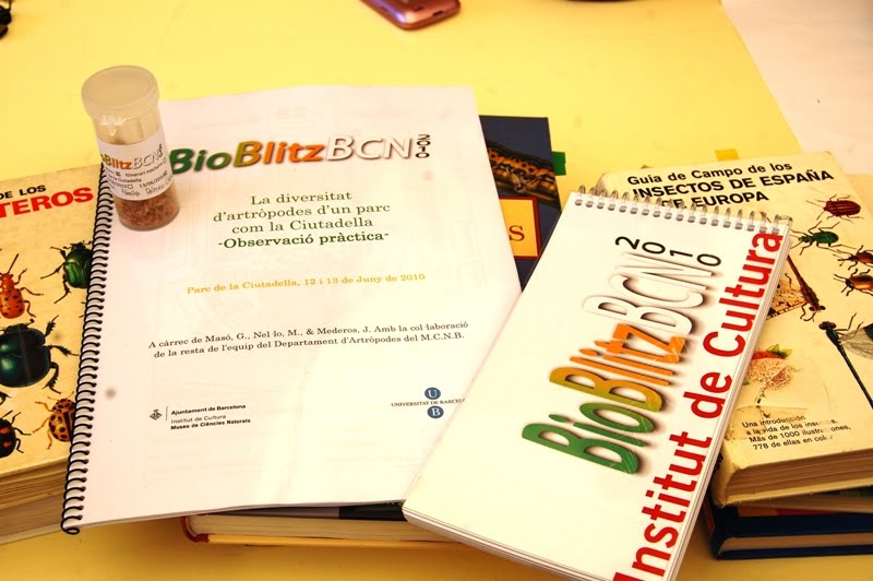 BioBlitzBcn2010