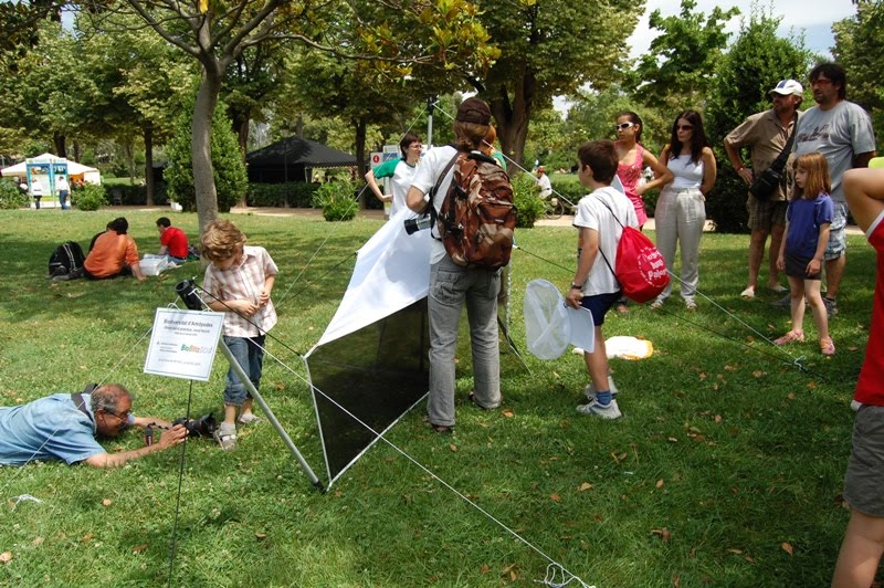 BioBlitzBcn2010