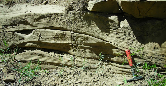 The Dynamic Earth: Sed Structure Sunday - Adhesion Ripples!