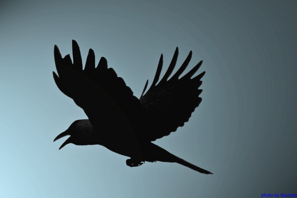 Idiomatrix: As the crow flies