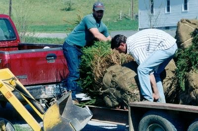 Social Security Disability and Long Term Disability Law Blog: Social ...