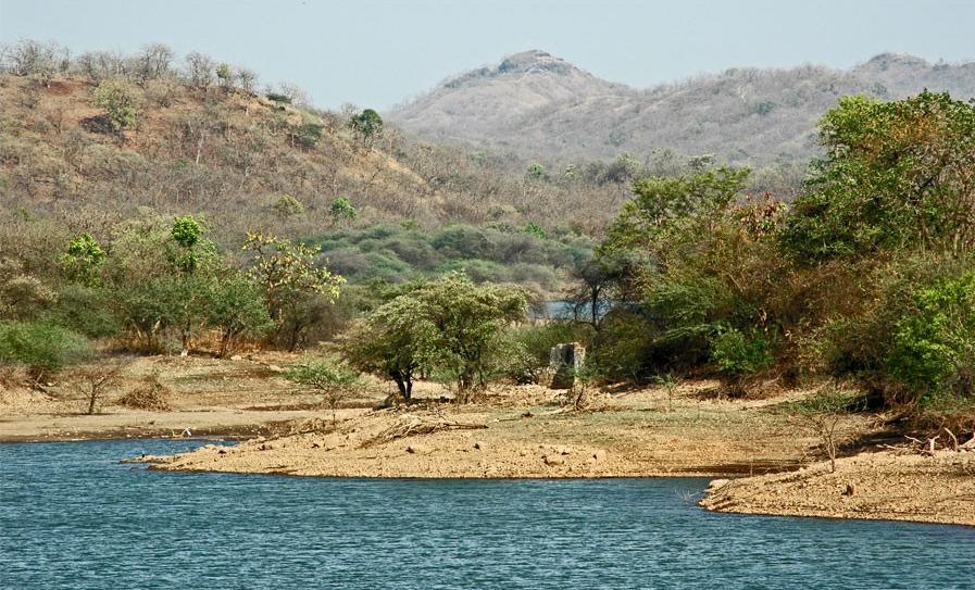 Sasan Gir - The Last Refuge of the Asiatic Lions - Gir Forest - Only ...