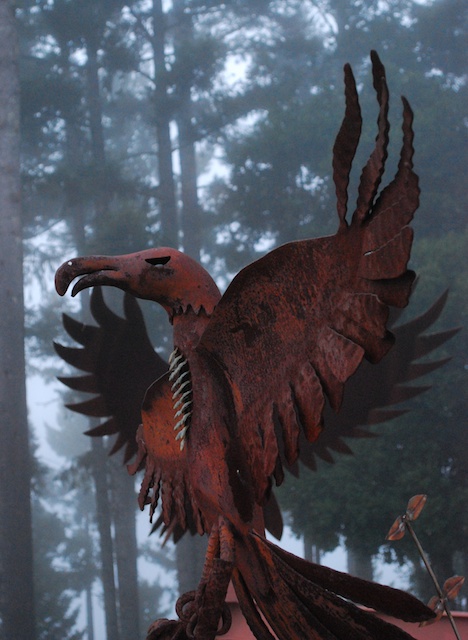 Dipper Ranch: Vultures & Death