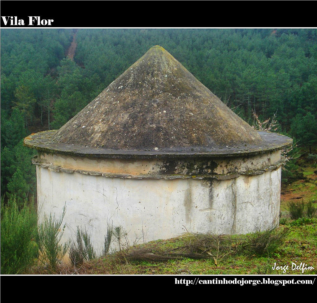 O CANTINHO DO JORGE: Pombal em Vila Flor