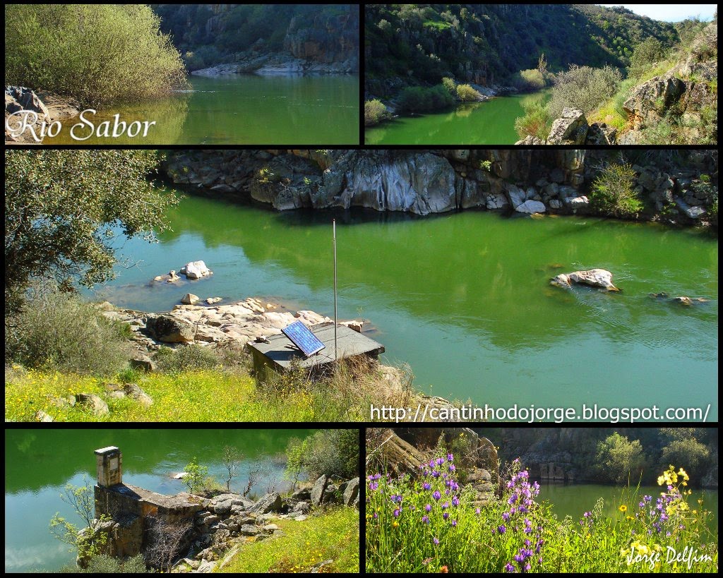 O CANTINHO DO JORGE: Caminhada no Rio Sabor