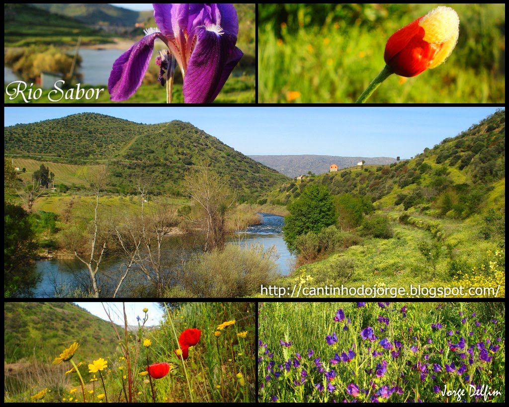 O CANTINHO DO JORGE: Caminhada no Rio Sabor
