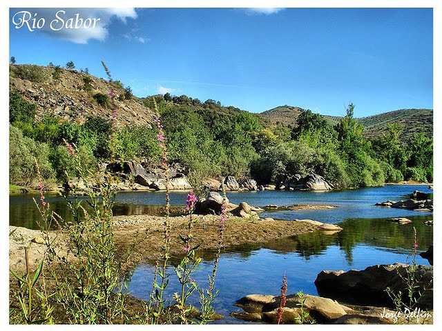 O CANTINHO DO JORGE: Rio Sabor conquista o 1.º Lugar das 7 Ex ...