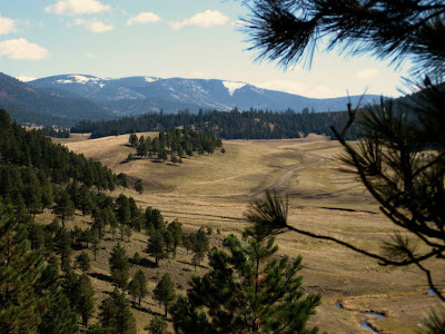 Valles Caldera West Rim--San Antonio Hot Springs, San Antonio Canyon ...