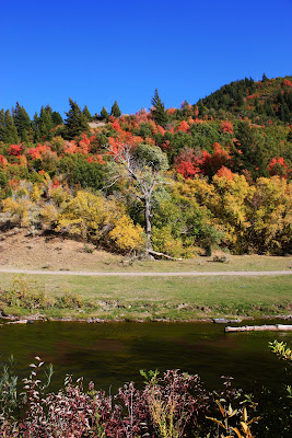 The Photo Bliss Archive: "Heber Creeper" Railroad Track Walkabout, Fall ...