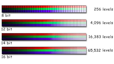Digital Imaging Tune-up Clinic With Jim DiVitale: It Starts With The ...