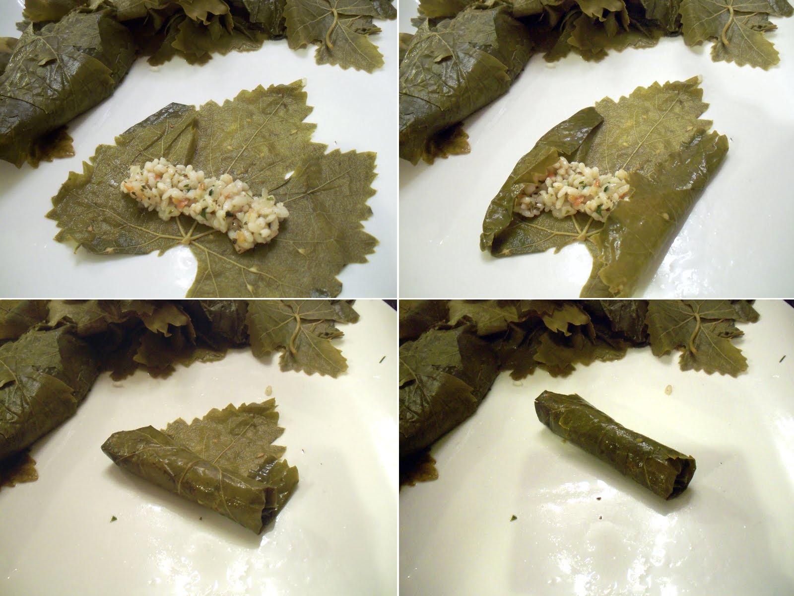 Syrian Foodie in London: One Hundred and One Mezze: 21. Stuffed Vine Leaves