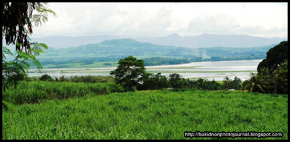 Bukidnon Photo Journal: Pulangi River
