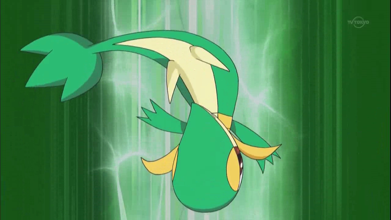 Pokemon Best Wishes 5 generacion: ¡Ataques especiales de los Iniciales ...