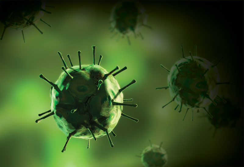 LIFE IN THE SECOND HALF: The Flu!