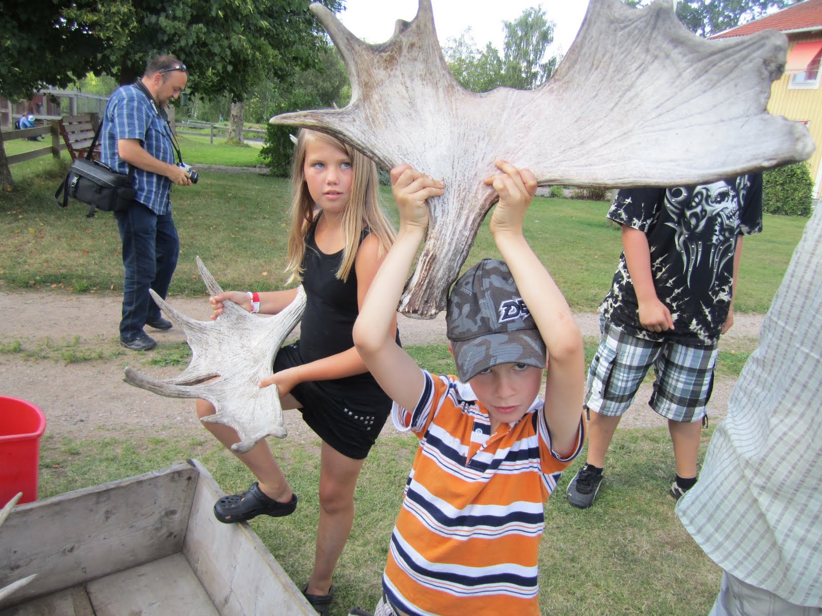 Oliver in Sweden: At the moose farm