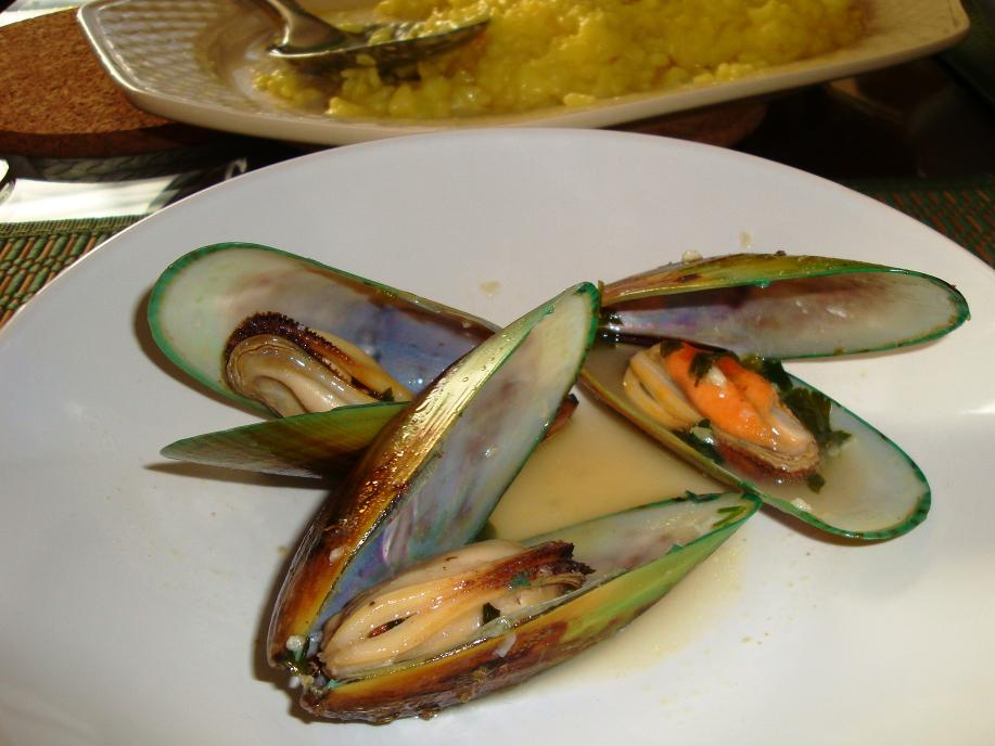 PAPRIKA NA FEIJOADA: New Zealand green-lipped mussels - mexilhões de ...
